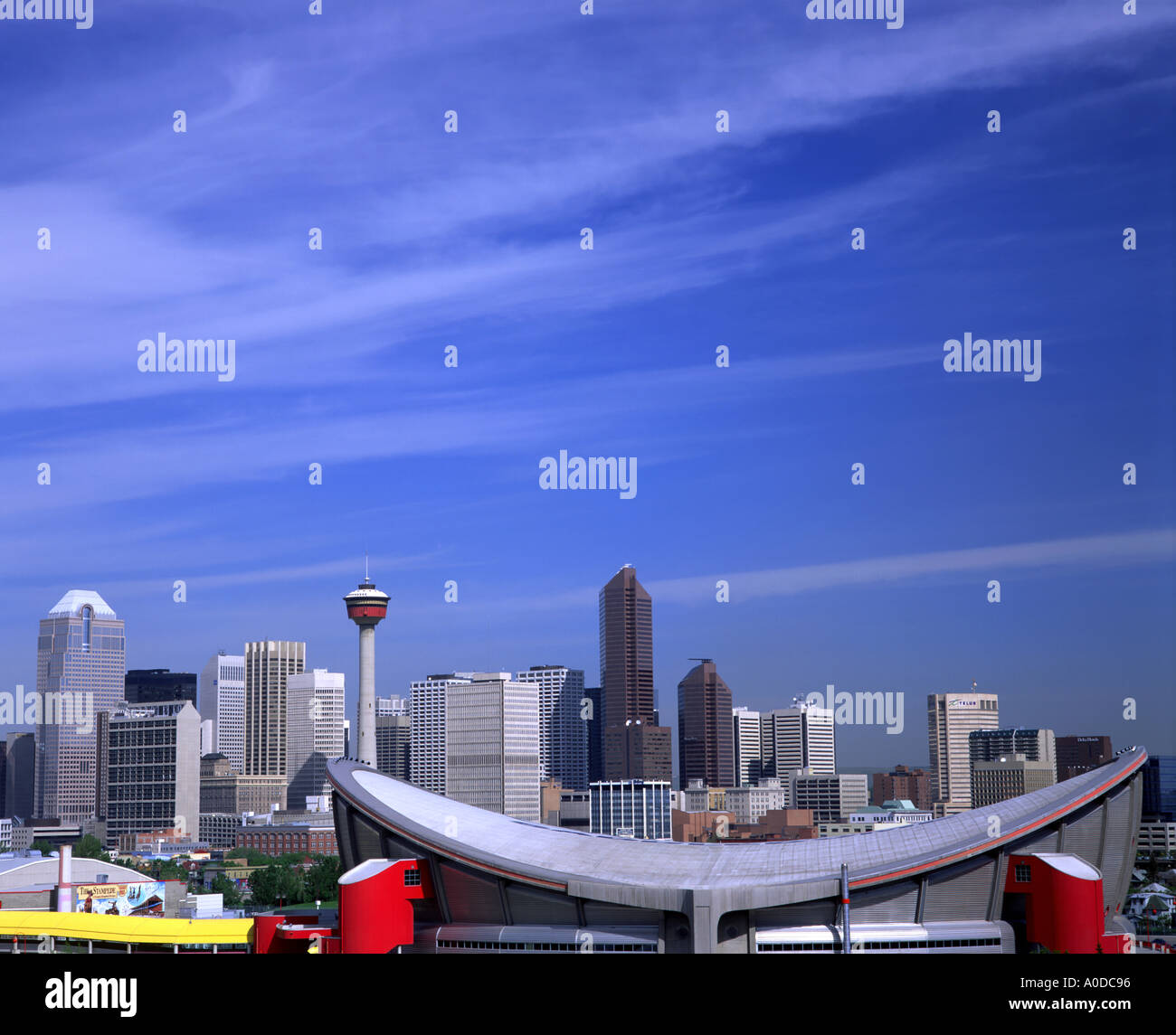 The Calgary skyline and Saddledome Calgary Alberta Canada Stock Photo ...