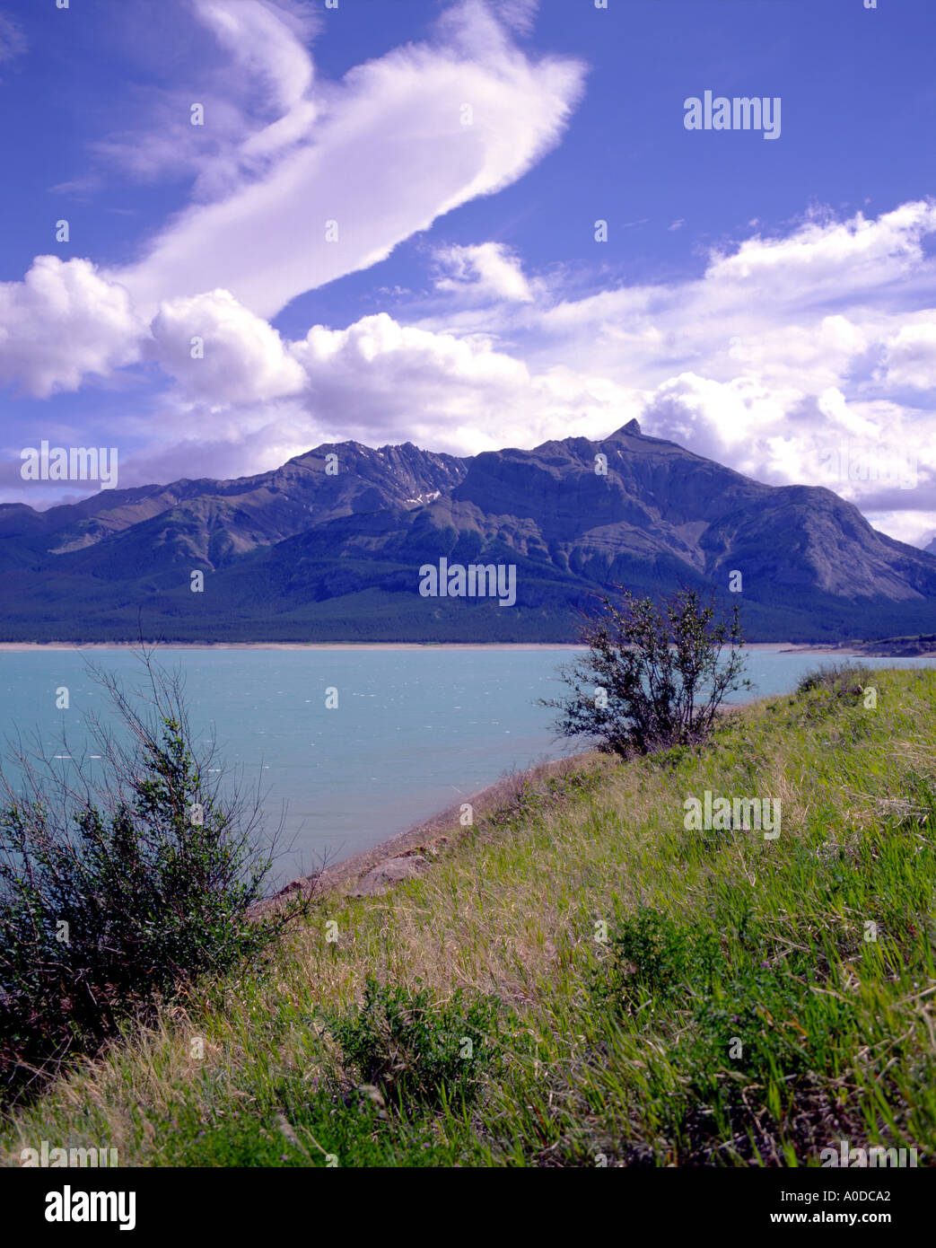 Abraham Lake and Mount Michener Bighorn Wildland Recreation Area ...