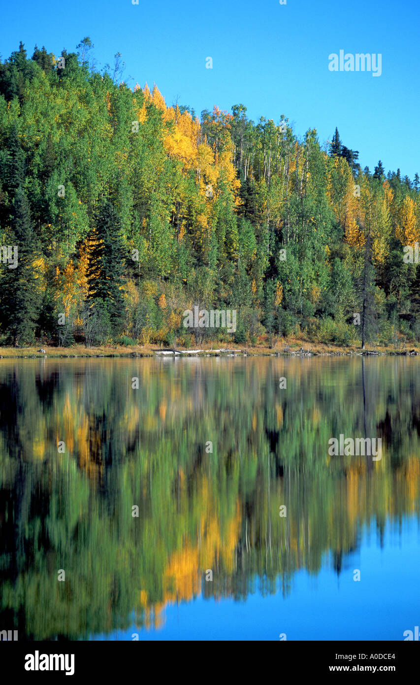 Lake reflections Northern Alberta Canada Stock Photo - Alamy