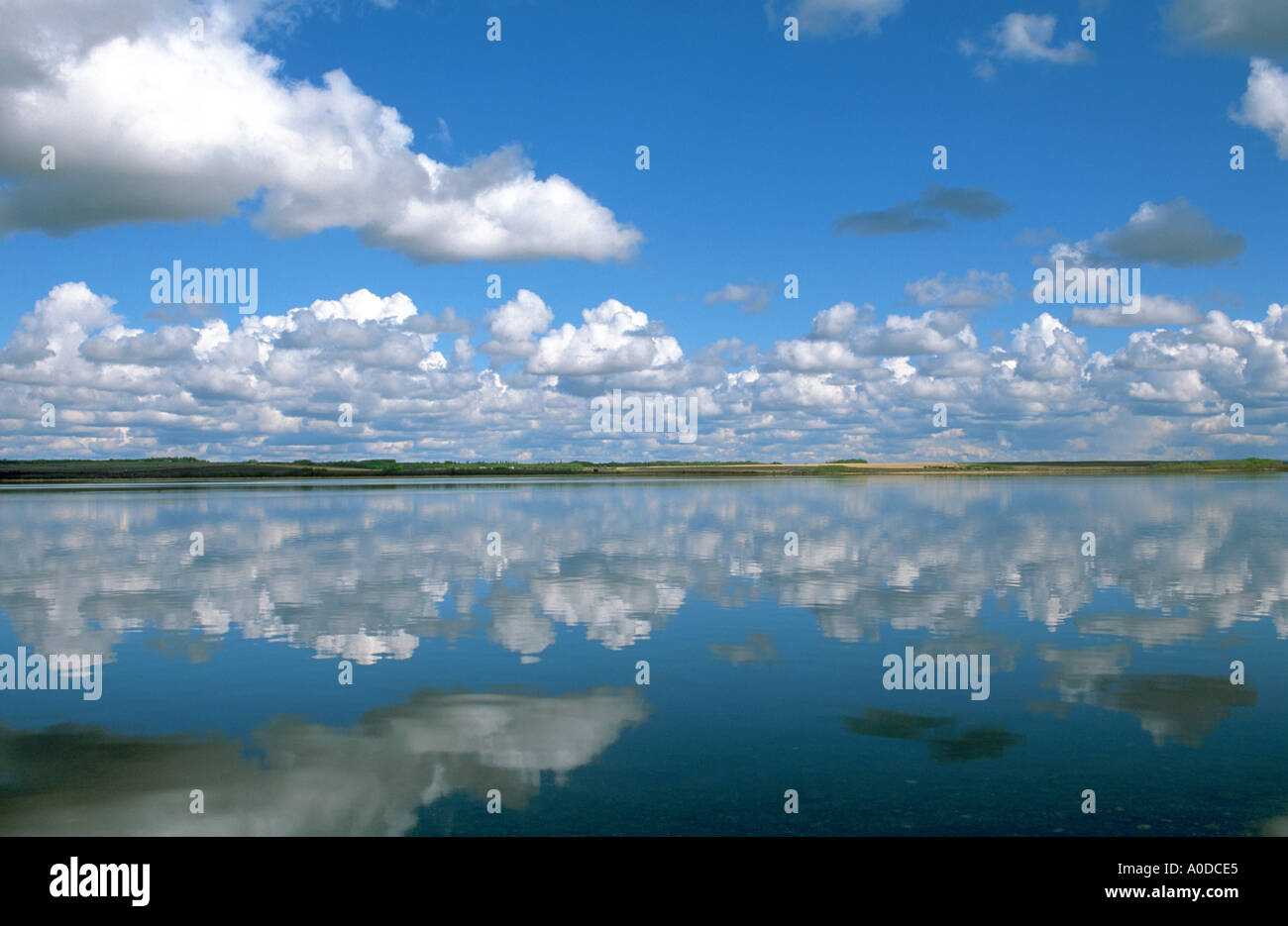 Reflections on still Lake Saskatoon Island Provincial Park Alberta ...