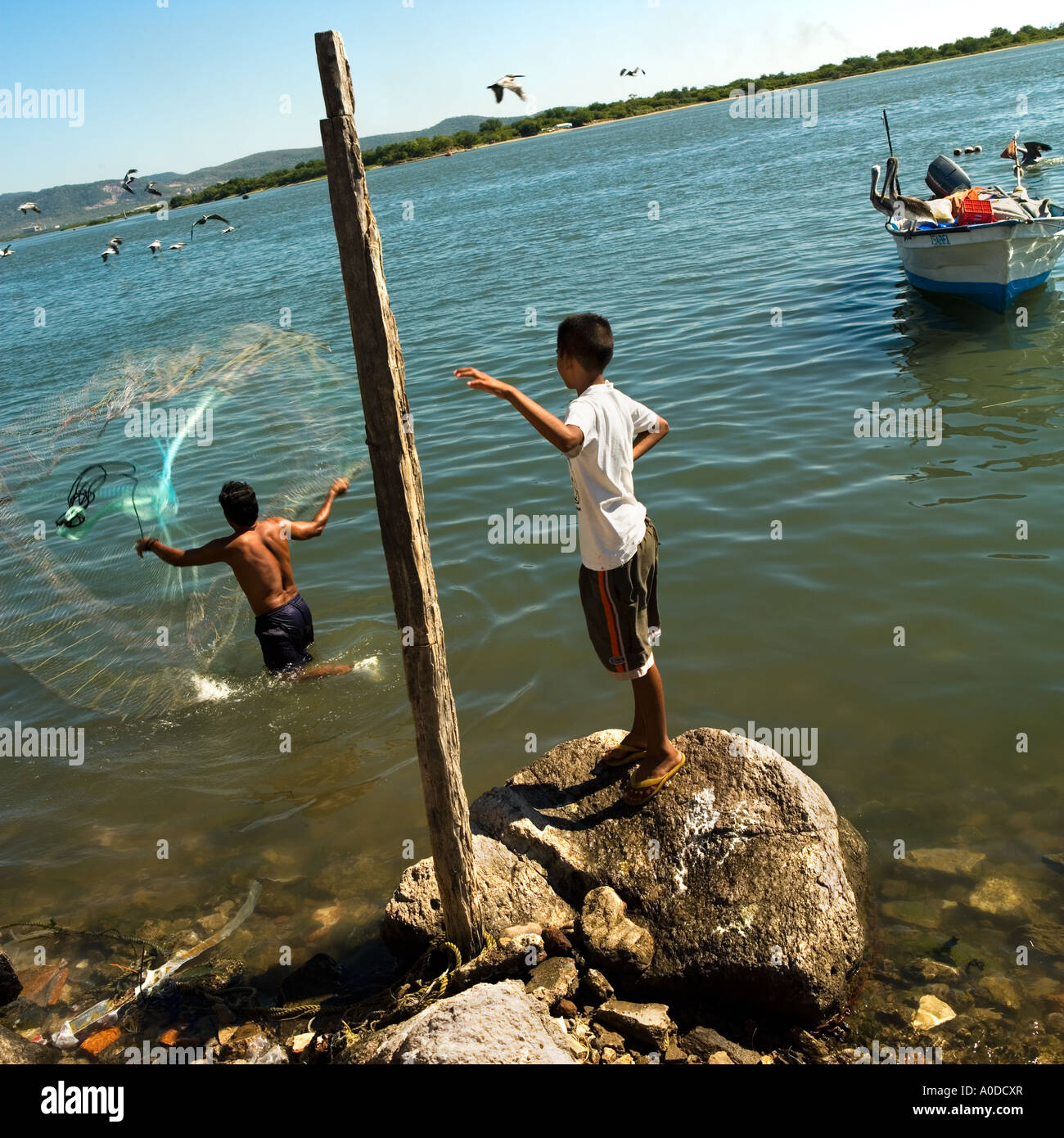Fisherman casts his net from the quay Mazatlan Sinaloa Mexico Stock ...