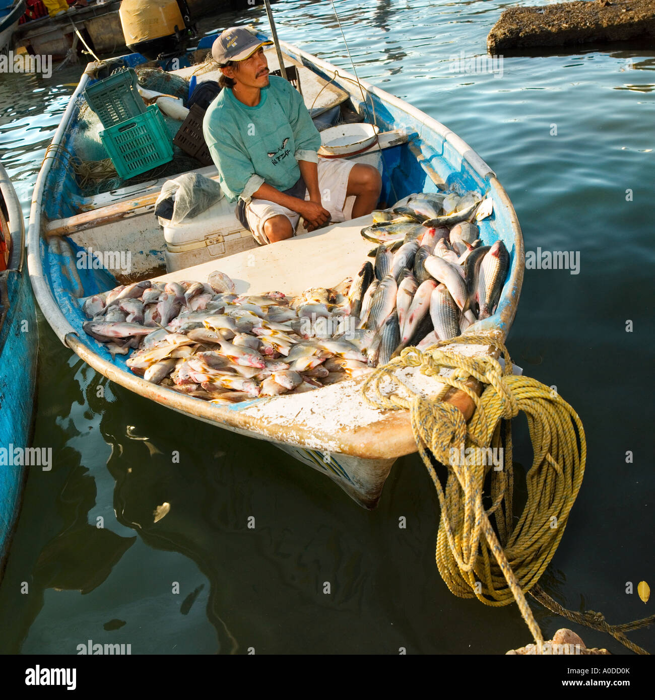 Fisherman sells fresh fish off his boat Mazatlan Sinaloa Mexico Stock ...
