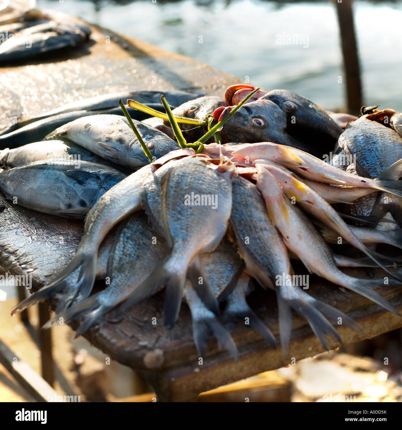 Stall hi res hi-res stock photography and images - Alamy
