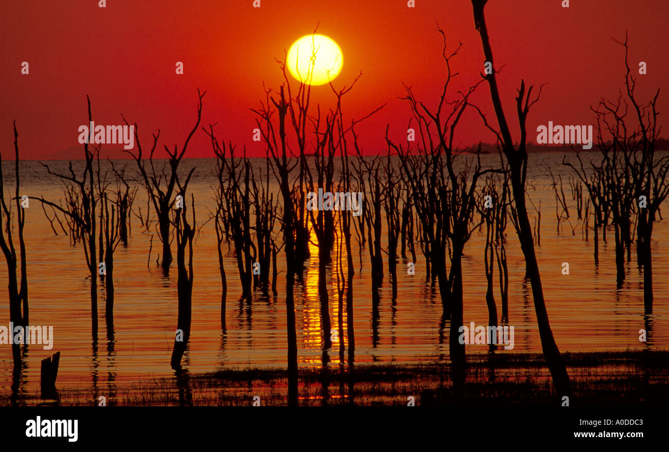 Sunrise over Lake Kariba Zimbabwe Africa Stock Photo - Alamy