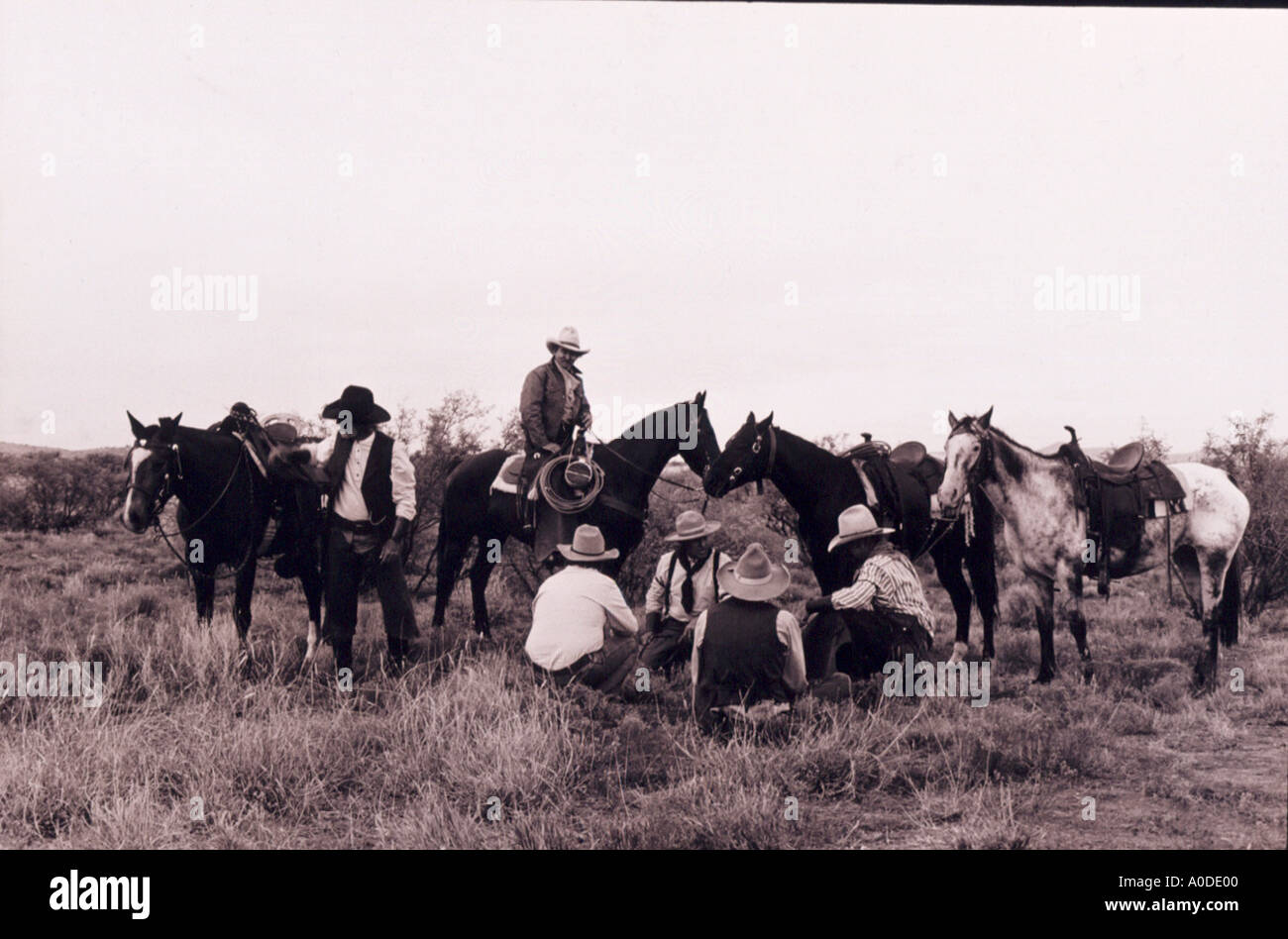 Group of Cowboys Planning Stock Photo - Alamy
