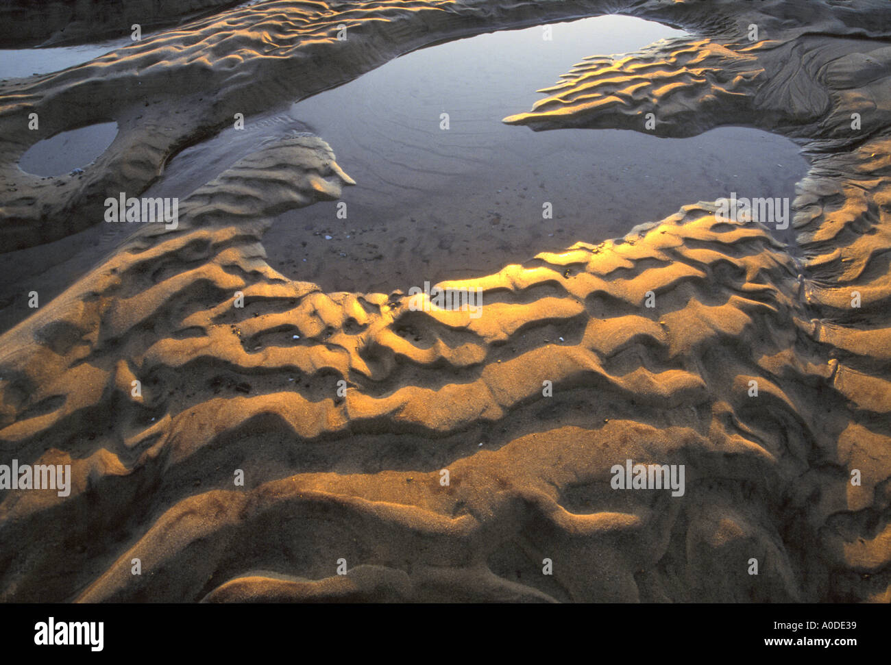A tide pool on Coast Guard Beach Cape Cod Stock Photo - Alamy