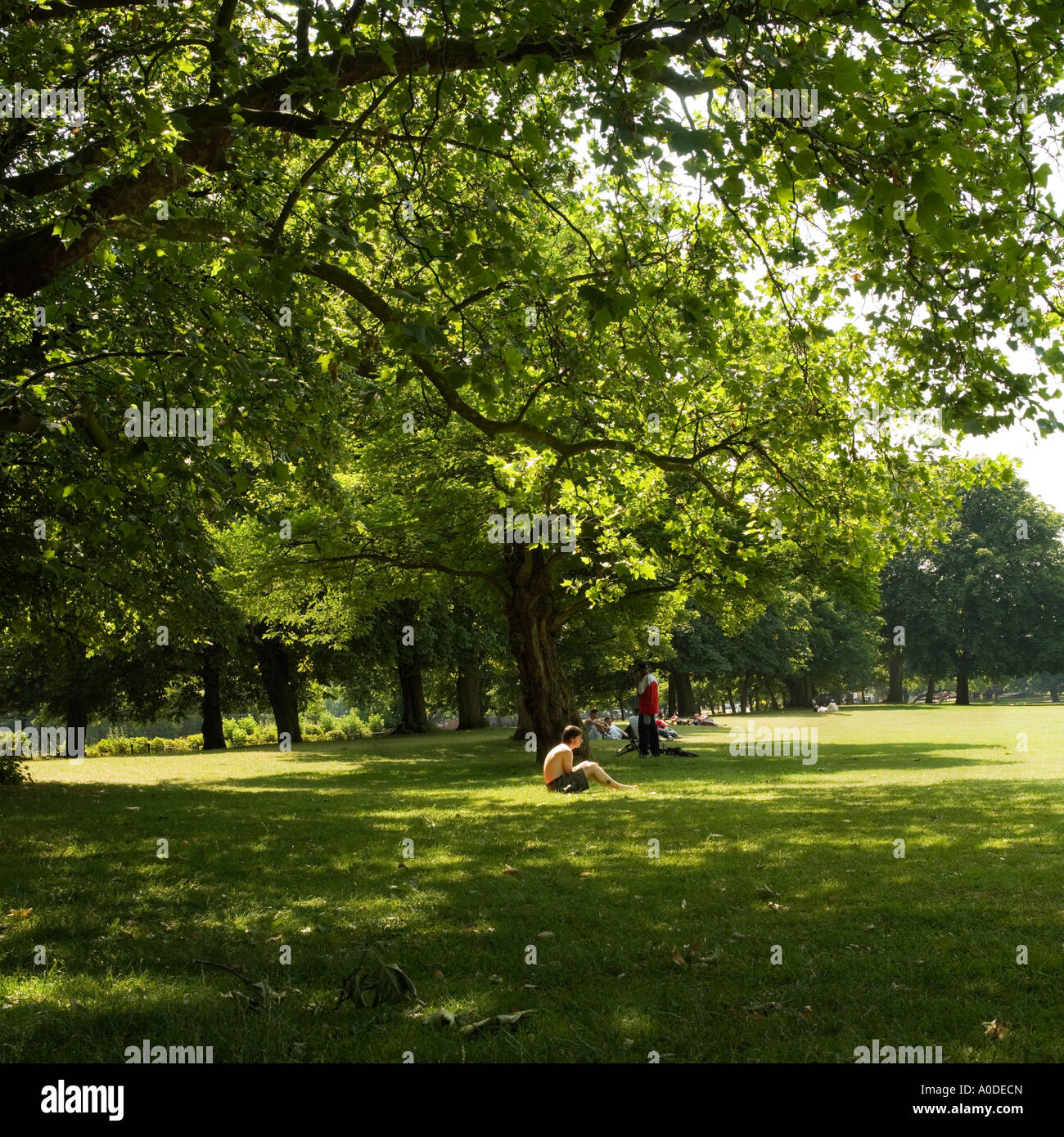 Flop hi res hi-res stock photography and images - Alamy