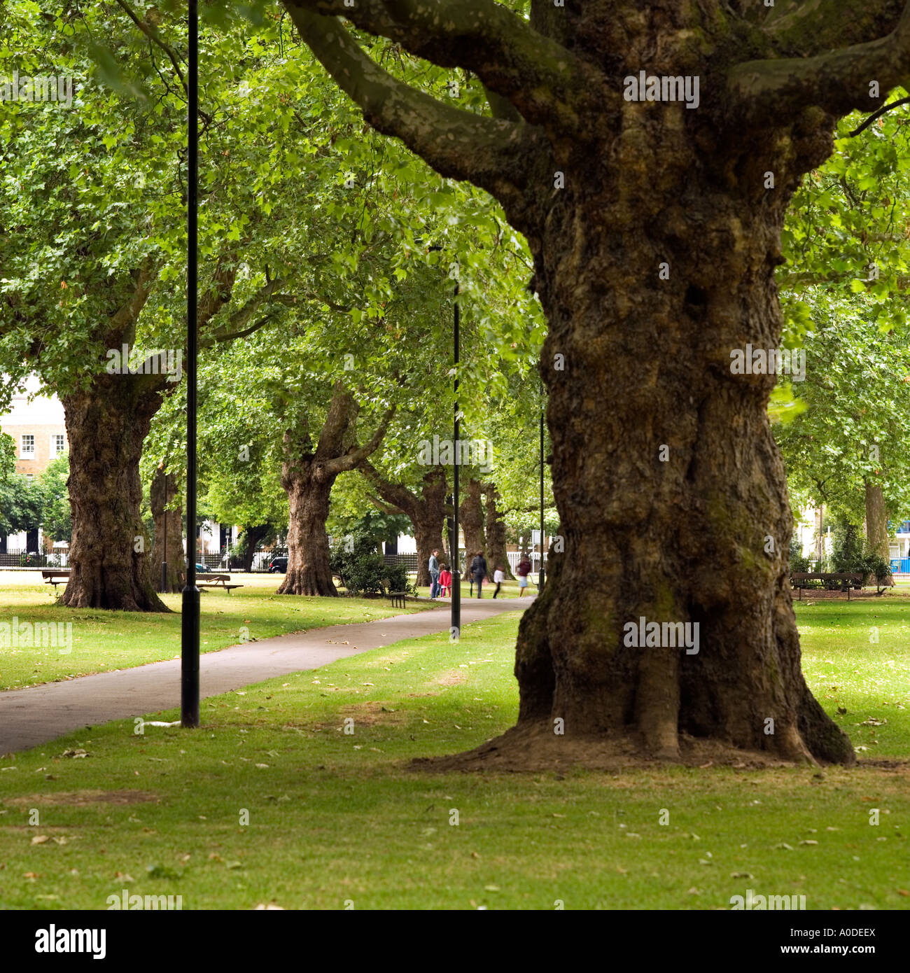 Long acre london pretty hi-res stock photography and images - Alamy