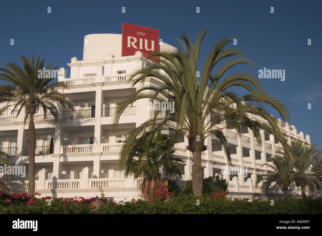 Hotel Riu Palace which overlooks the dunes at Maspalomas on Gran ...