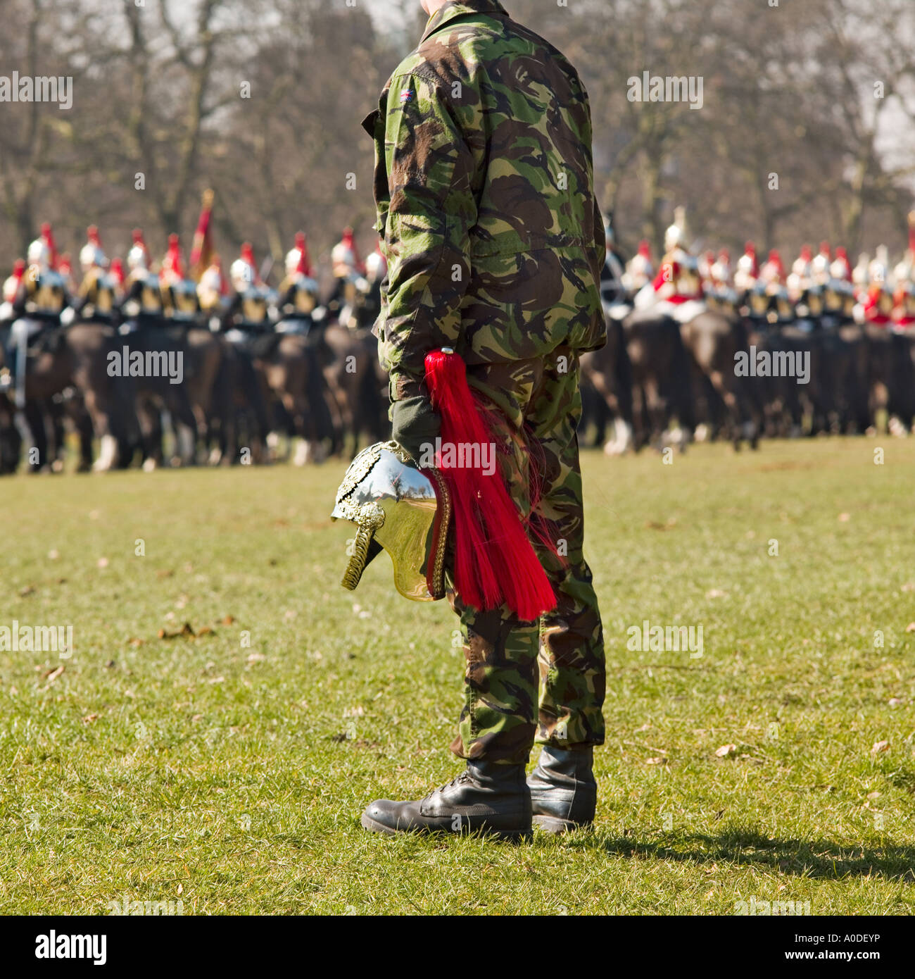 Soldier standing straight hi-res stock photography and images - Alamy
