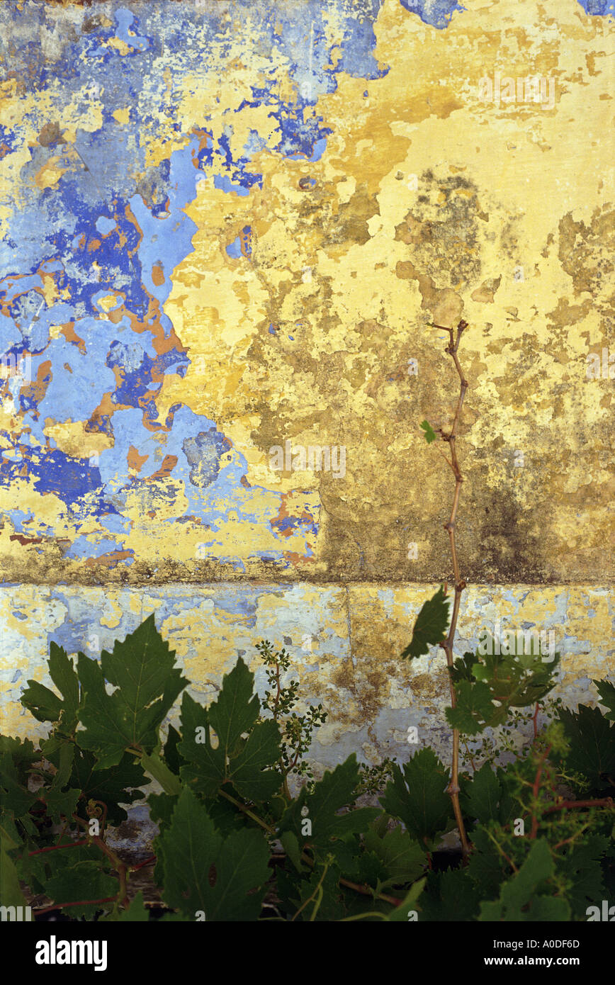 Peeling structures hi-res stock photography and images - Alamy