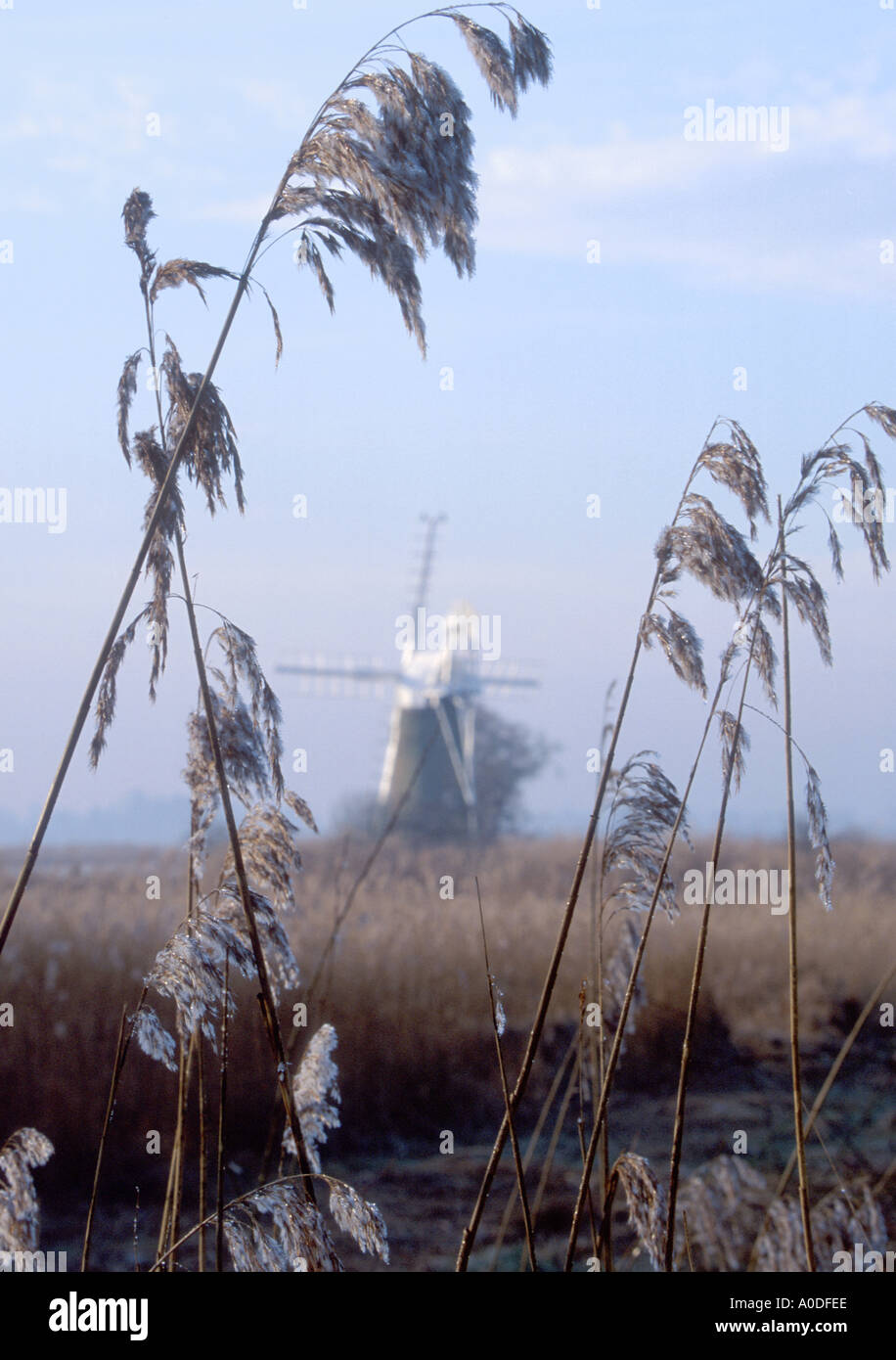 Reeds hill hi-res stock photography and images - Alamy