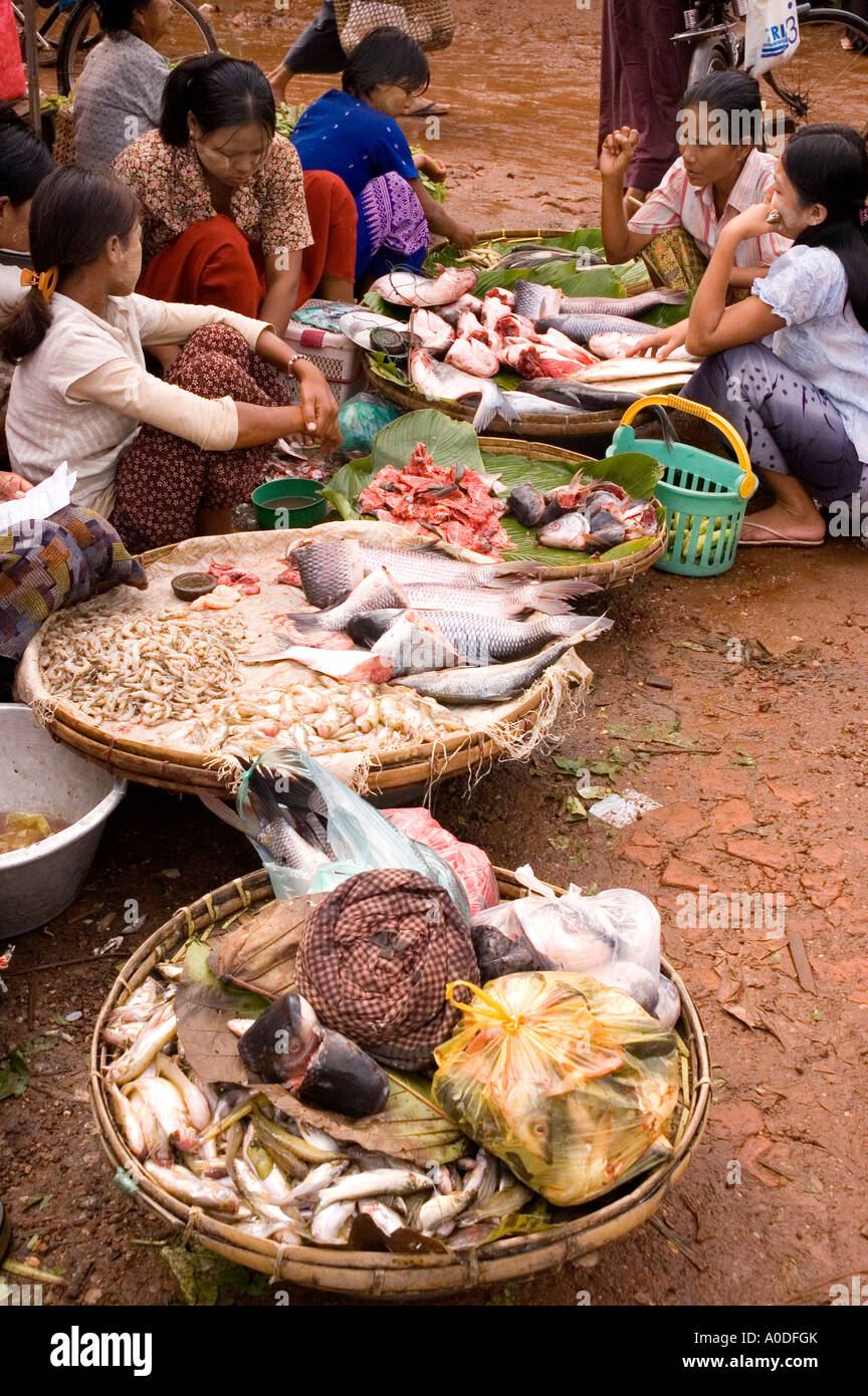 Stock photograph of a fresh fish for sale at the market at Bago in ...