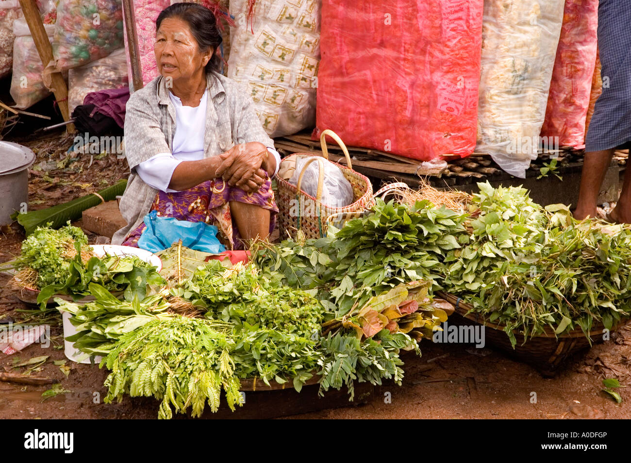 Stock photograph of a woman selling fresh green vegetables for sale at ...