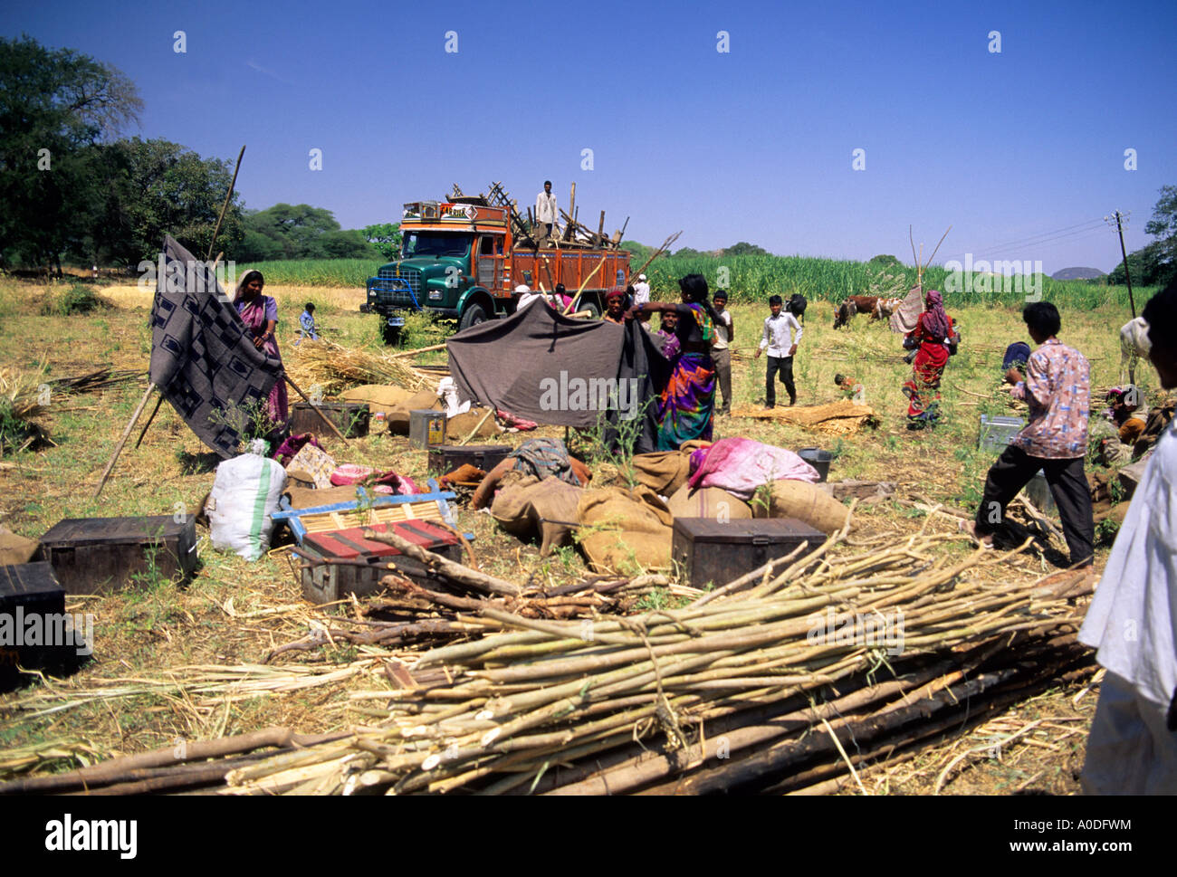Nomadic farming india hi-res stock photography and images - Alamy