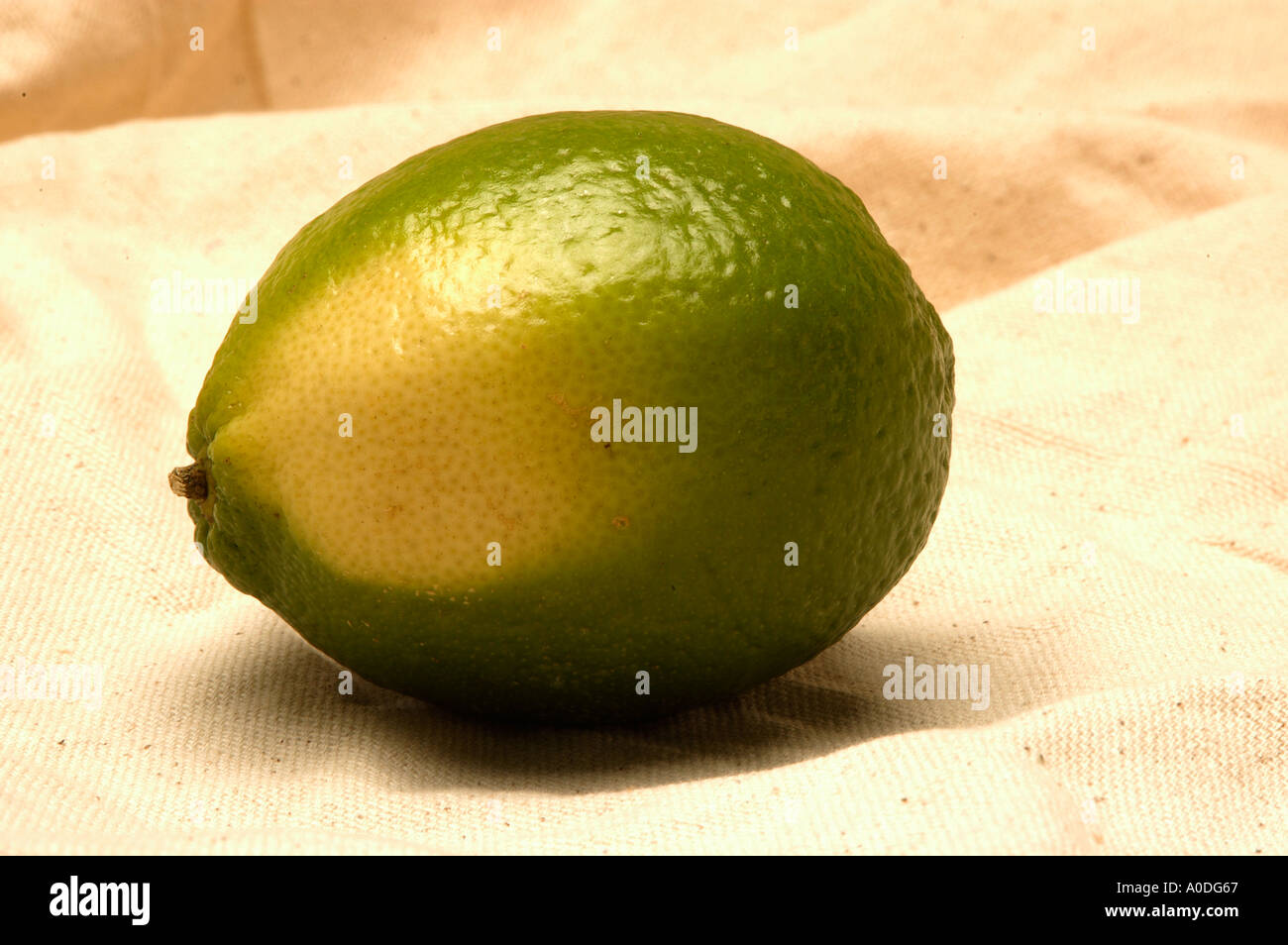 Still life with lime Stock Photo - Alamy
