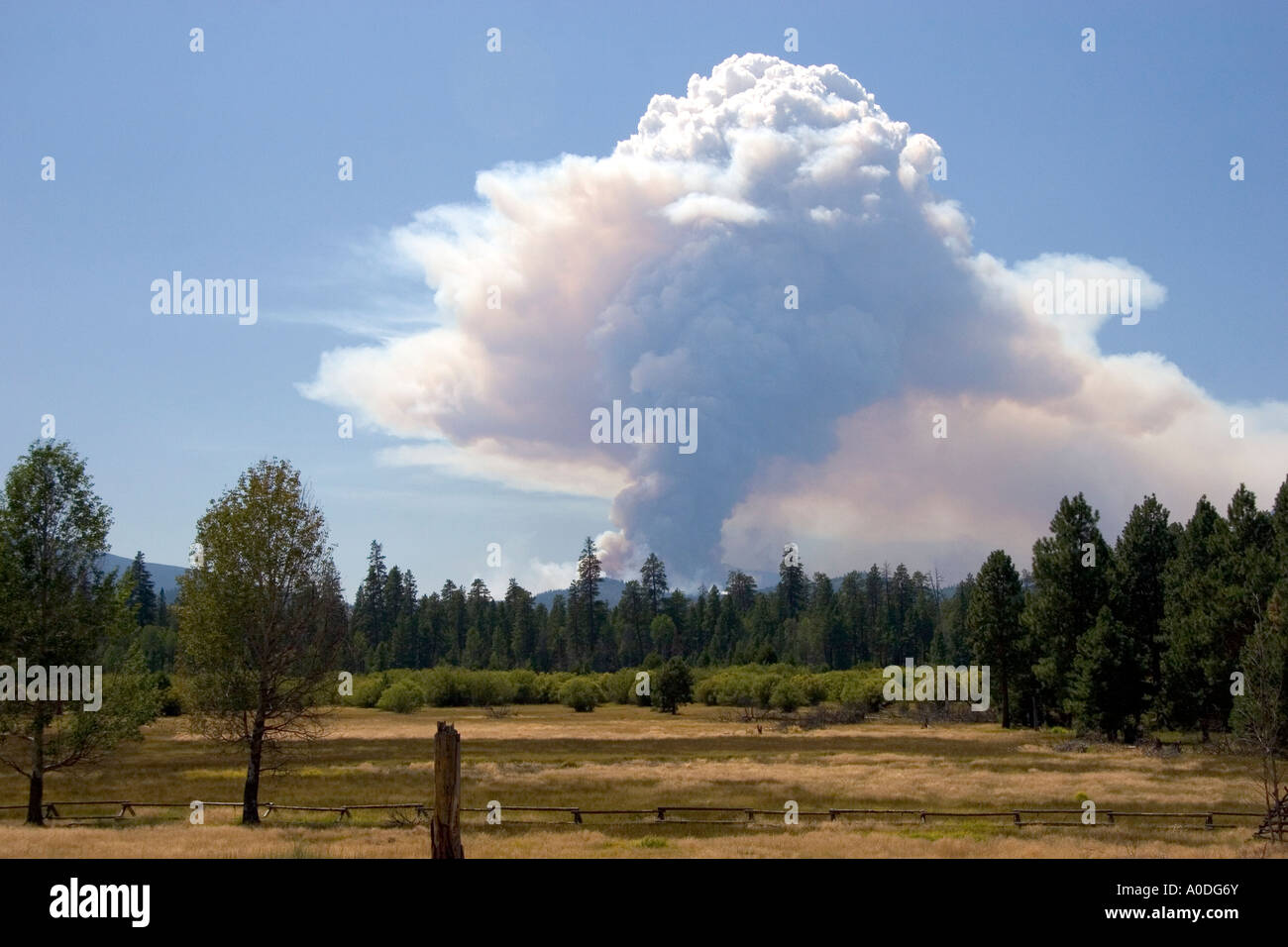 Plume of smoke from a wildfire near Sisters Oregon Stock Photo - Alamy