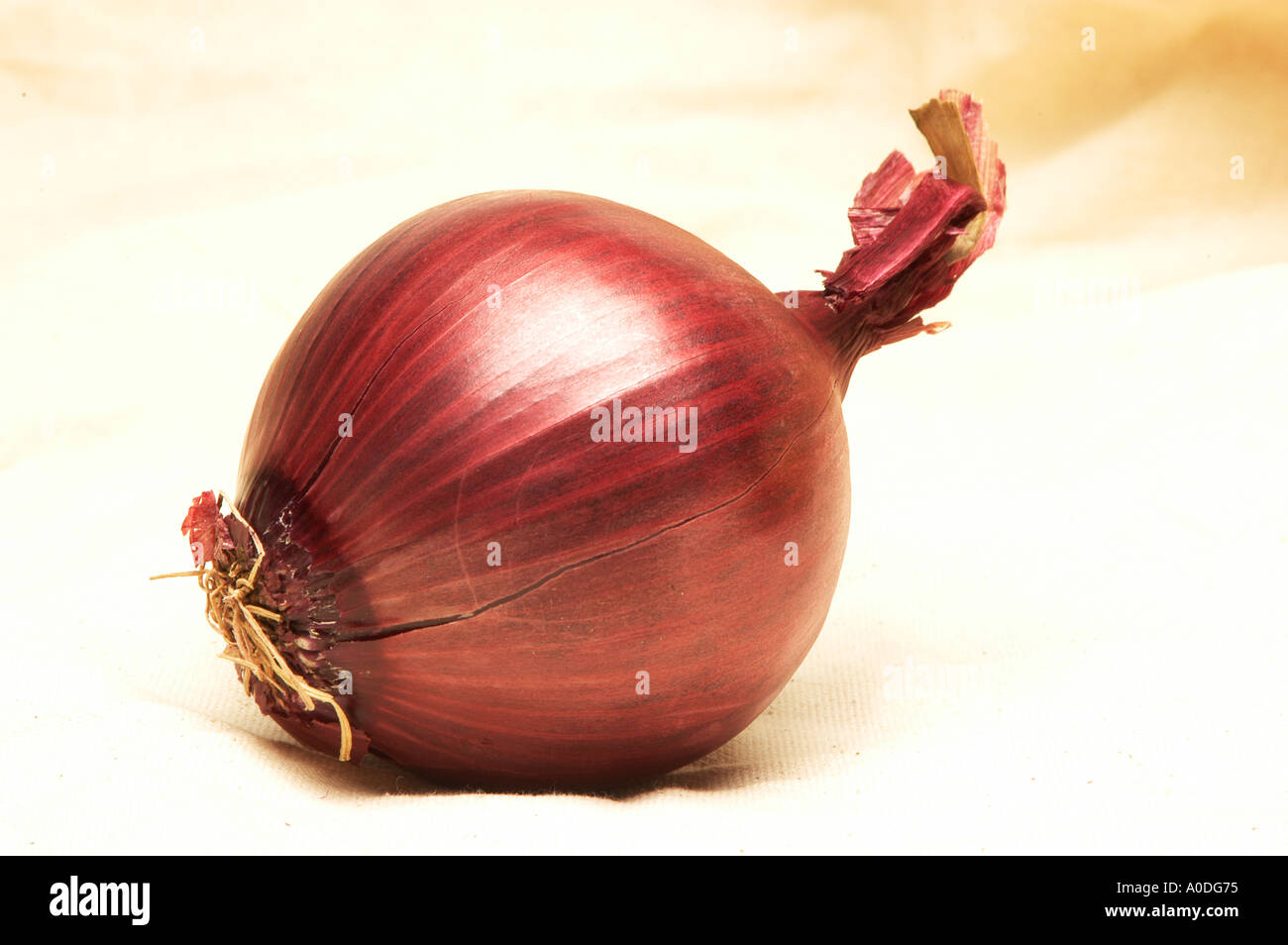 Still life with red onion Stock Photo - Alamy