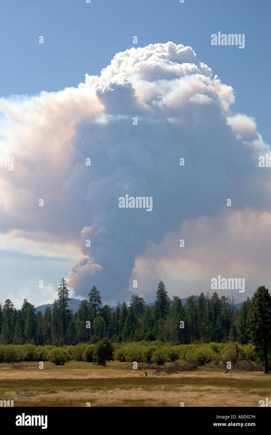 Plume of smoke from a wildfire near Sisters Oregon Stock Photo - Alamy
