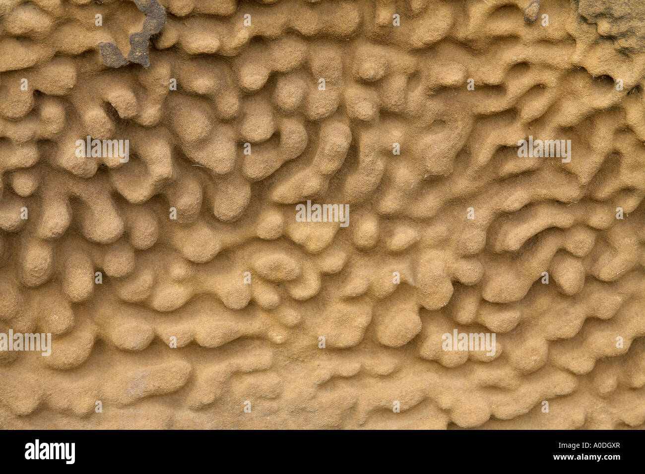 Rippled sandstone hi-res stock photography and images - Alamy