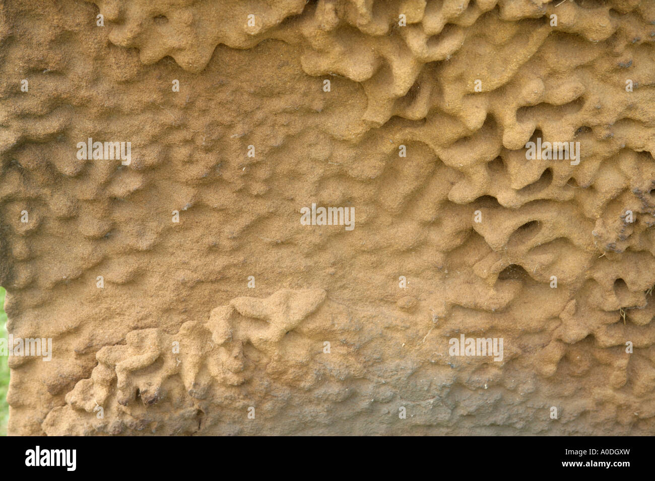 Weathered sandstone surface Stock Photo - Alamy
