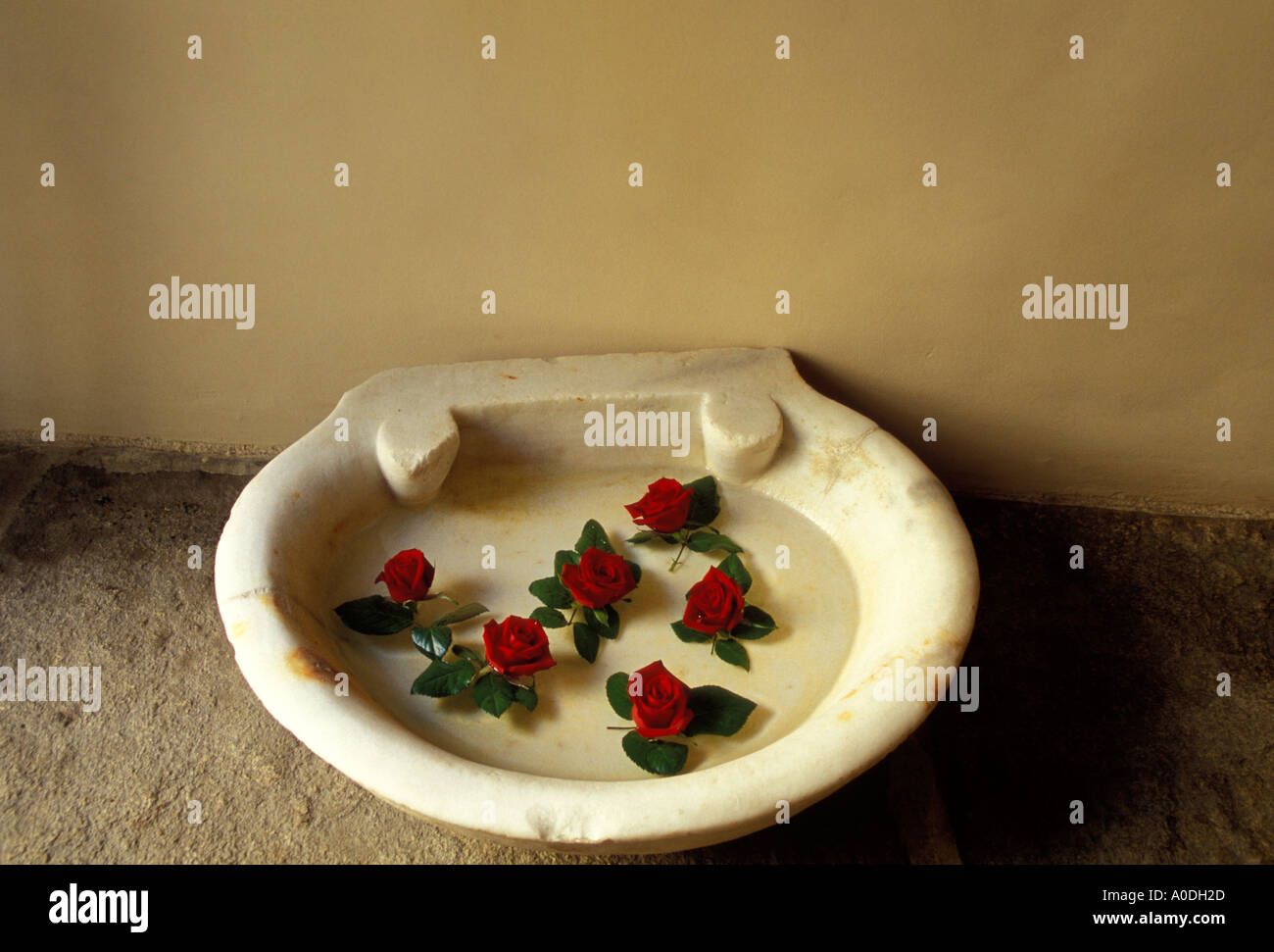 Deep red roses floating in antique white marble basin Stock Photo - Alamy