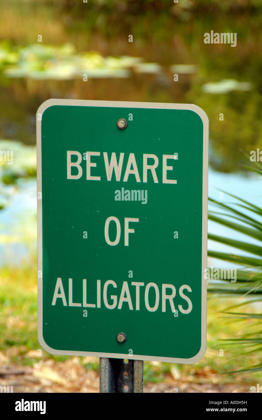 Beware of Alligators sign Stock Photo - Alamy