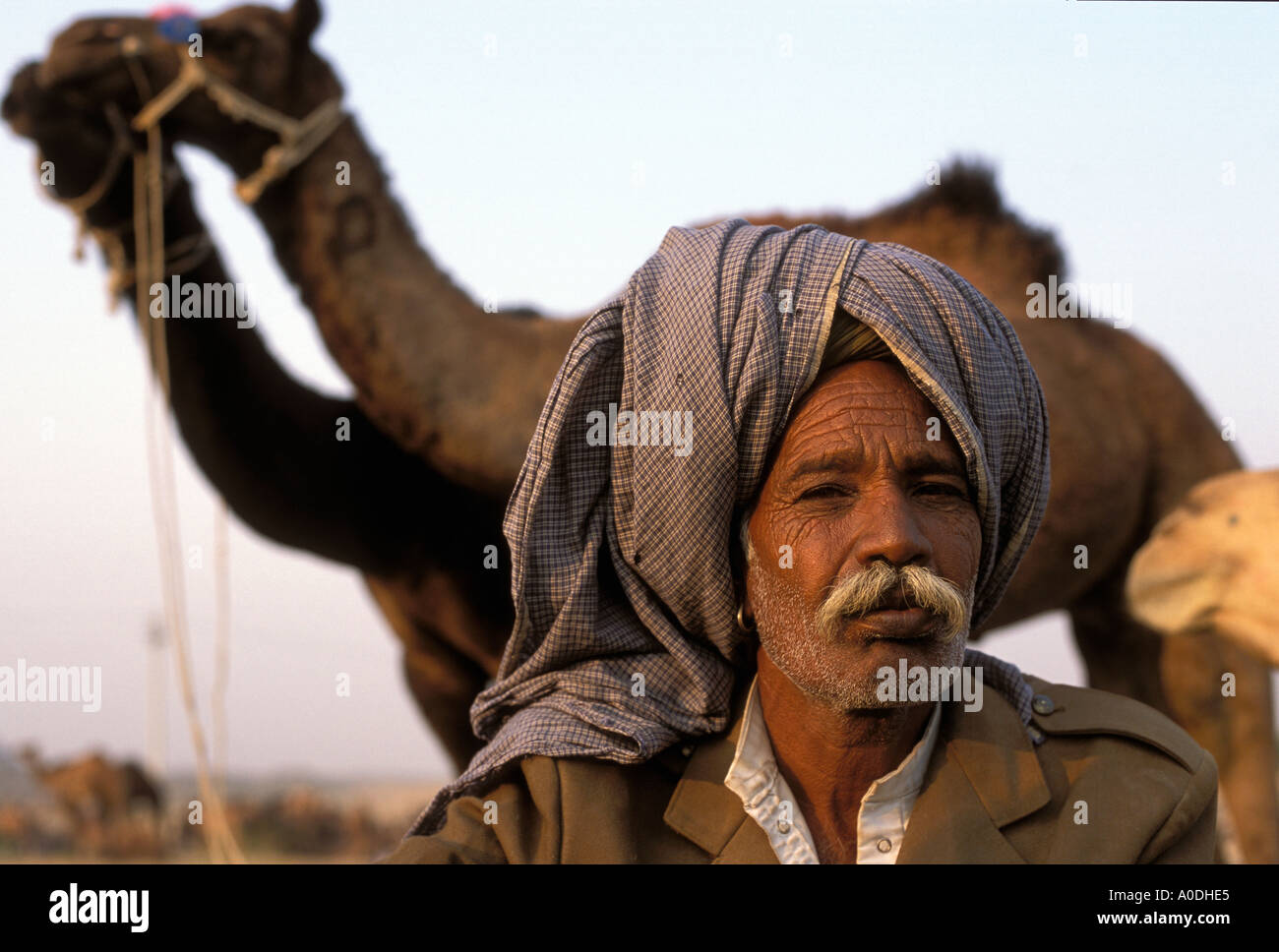 Marwari people nomadic tribe rajasthan hi-res stock photography and ...