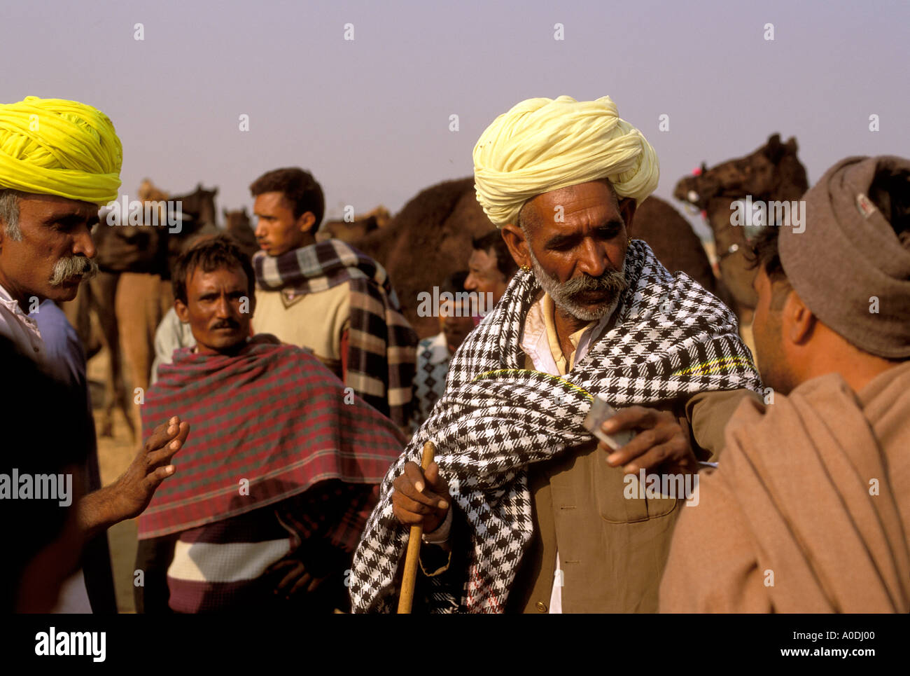 Marwari people nomadic tribe rajasthan hi-res stock photography and ...