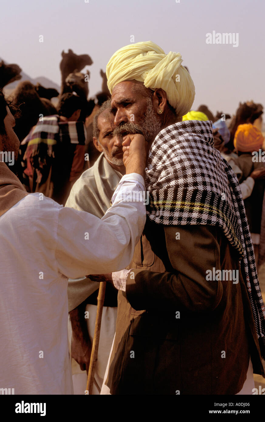 Marwari people nomadic tribe rajasthan hi-res stock photography and ...