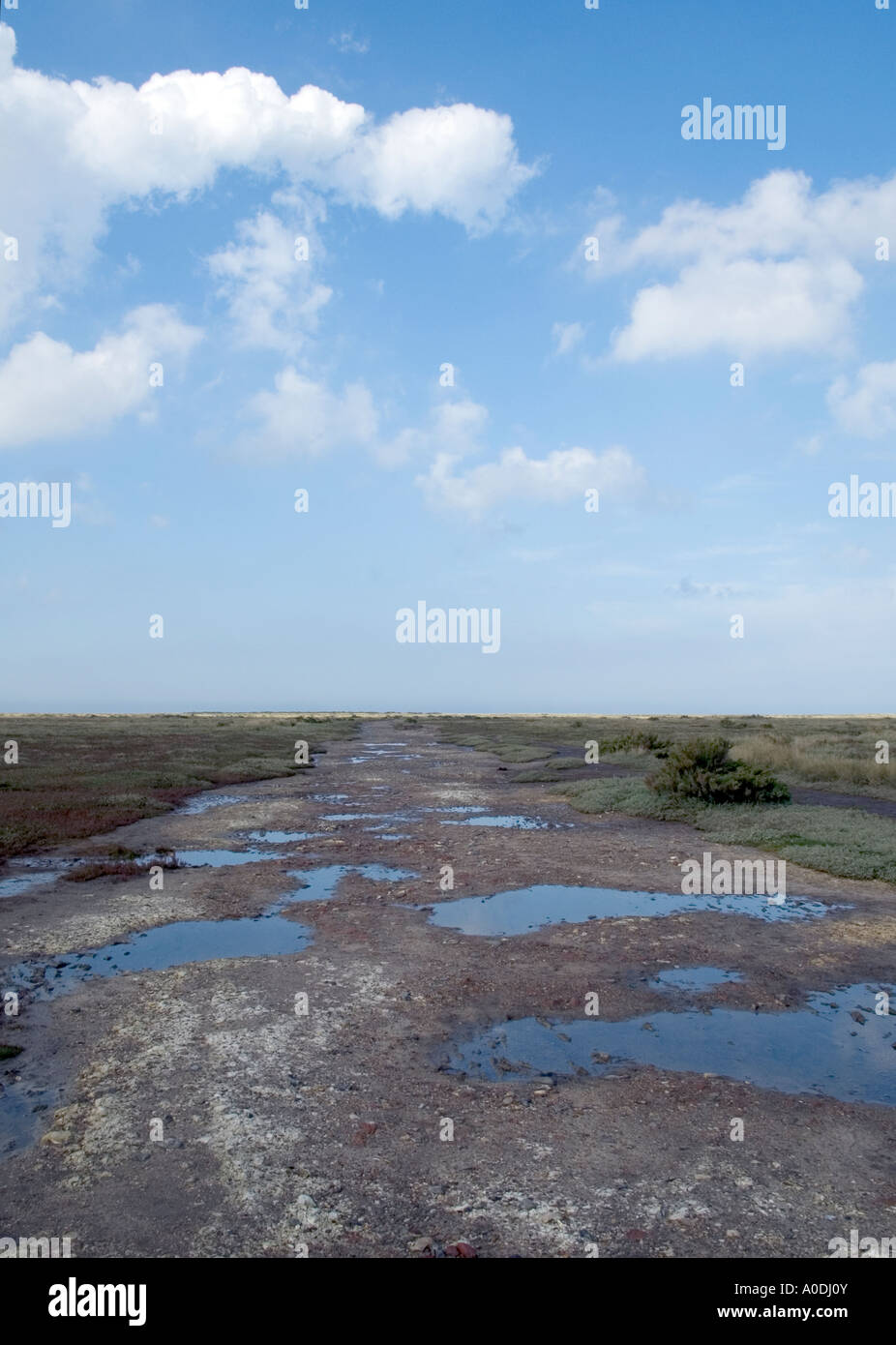 Stiffkey Marsh, North Norfolk Stock Photo - Alamy