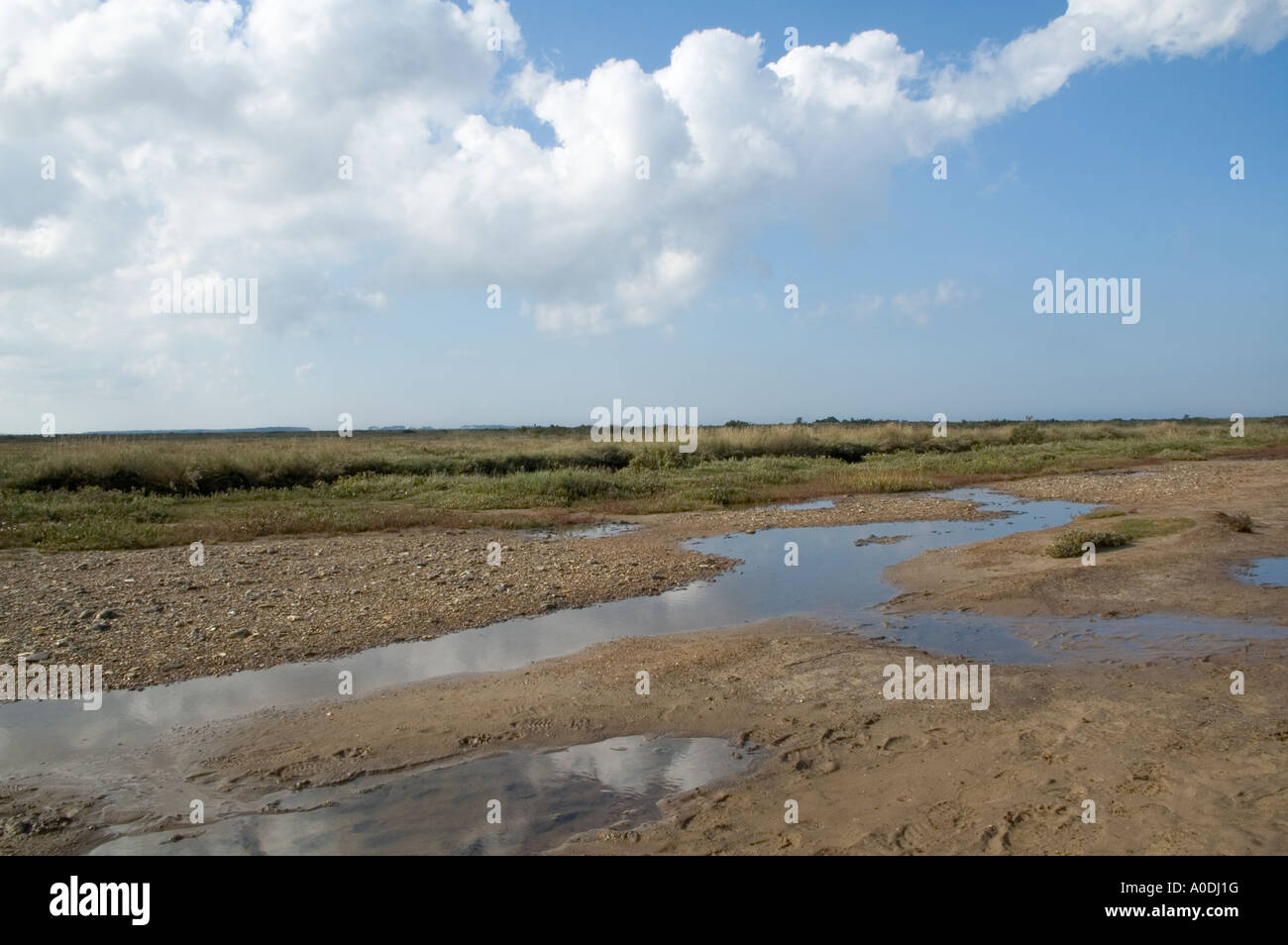 Stiffkey Marsh, North Norfolk Stock Photo - Alamy