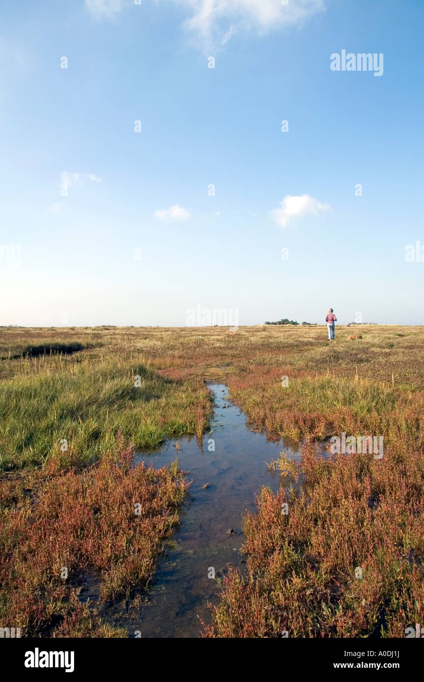 Stiffkey Marsh, North Norfolk Stock Photo - Alamy