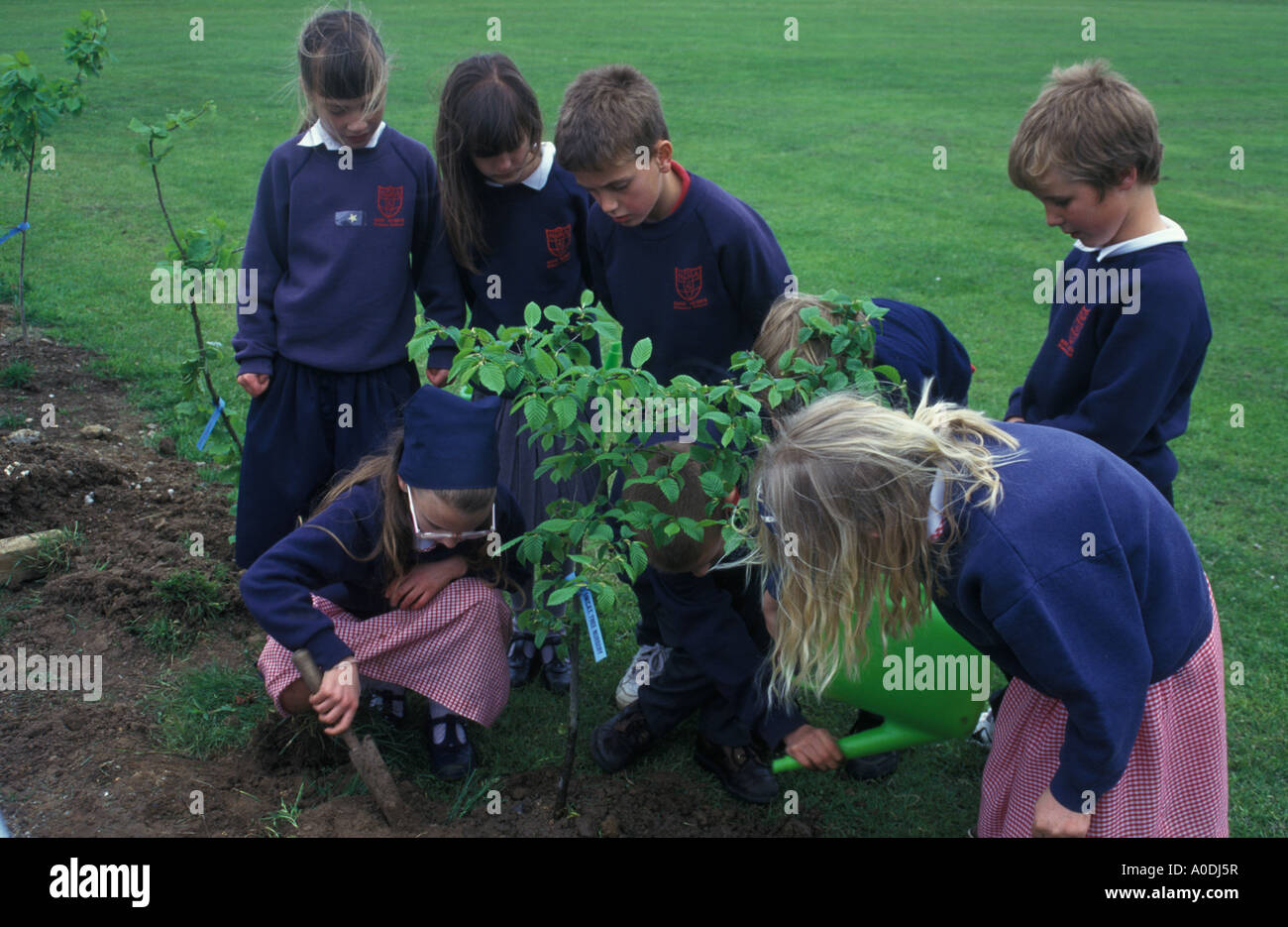 school children planting a tree Stock Photo - Alamy