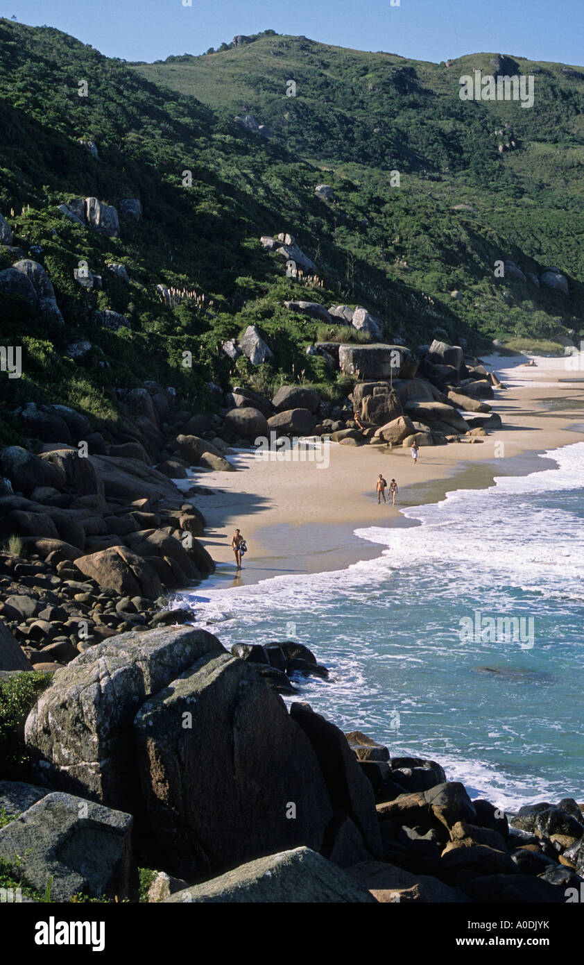 Praia Galheta Ilha Santa Catarina Florianopolis Brazil Stock Photo - Alamy