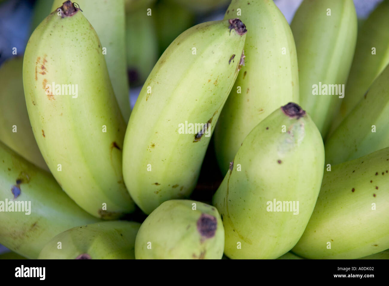 Religious bananas hi-res stock photography and images - Alamy