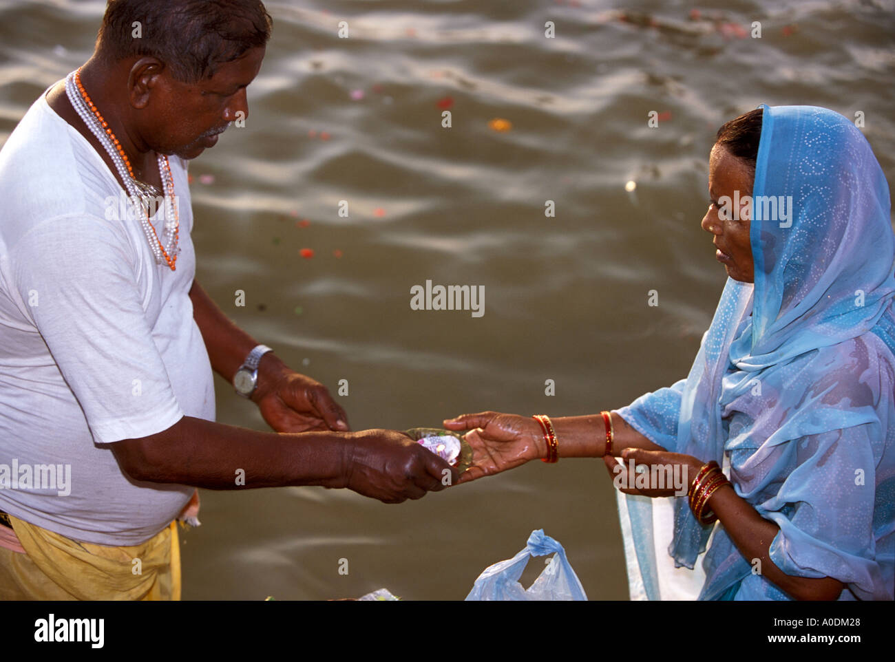 Indian Hindu Pilgrim offering flowers Ganges Sacred River Varanasi ...