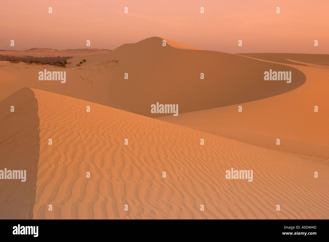 Vietnam Mui Ne white sand dunes at sunrise Stock Photo - Alamy