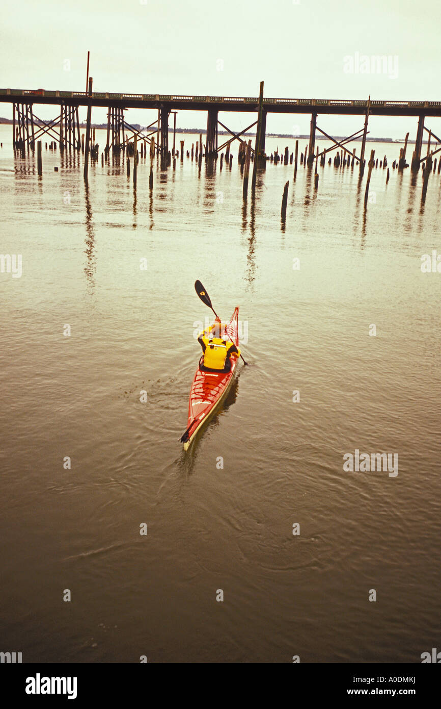 2317191 hi-res stock photography and images - Alamy