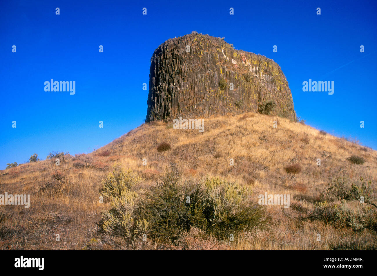 Hat Rock named by Capt William Clark during the Lewis Clark Expedition ...