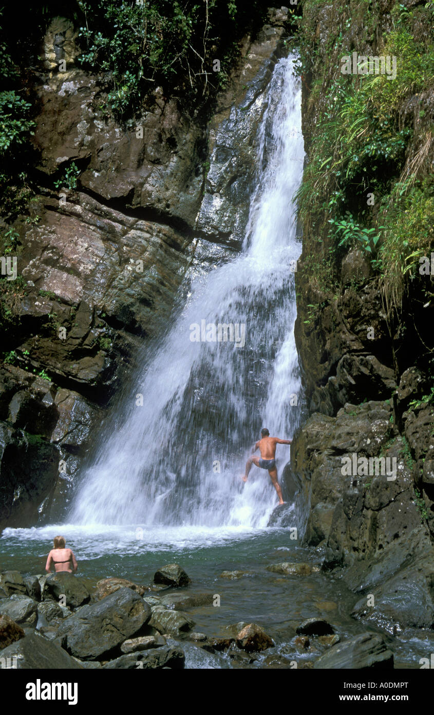 La Mina Falls in El Yunque rainforest Caribbean National Forest Puerto ...