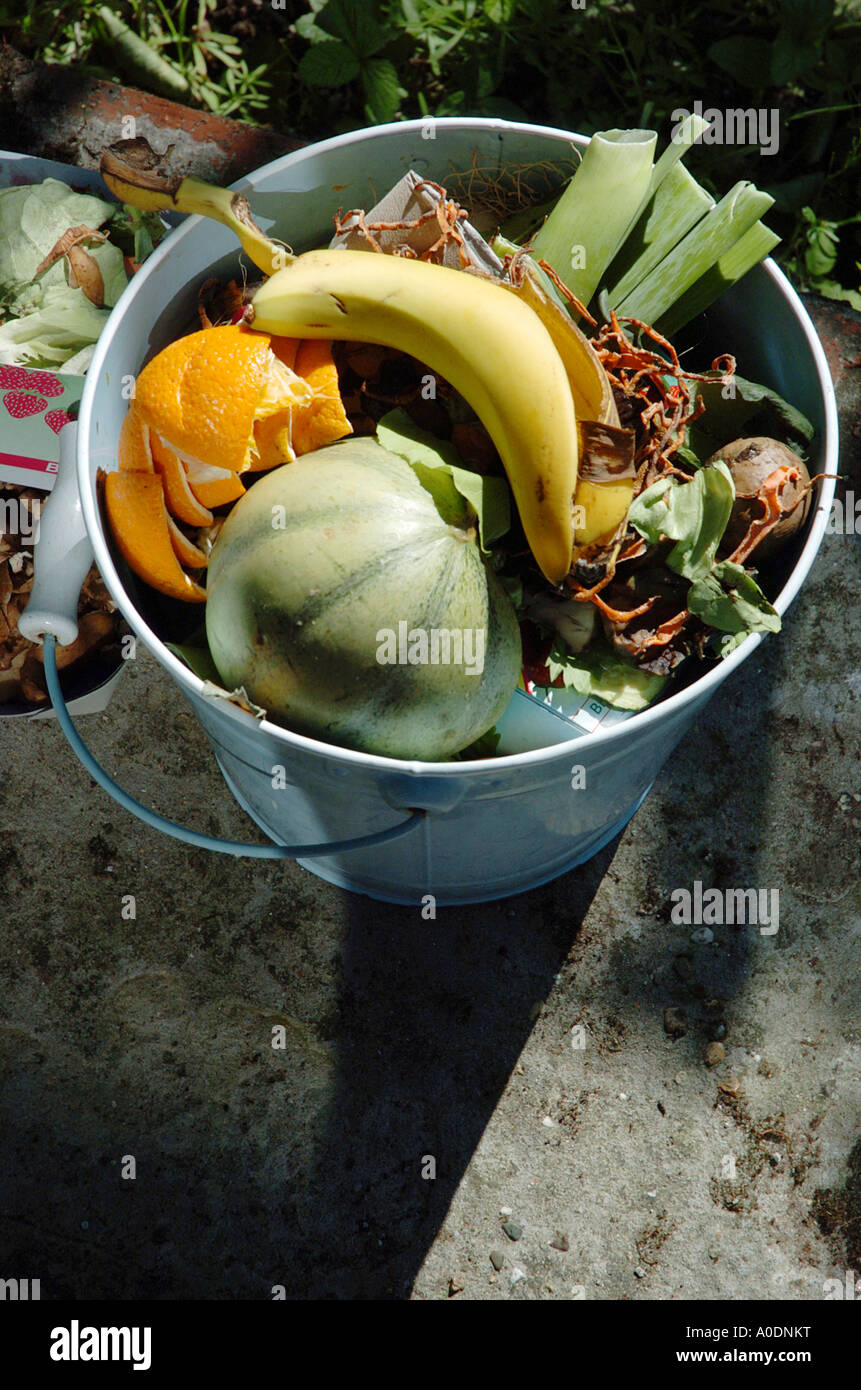 Fruit skins and vegetable peels top a brimming bucket of compost Stock ...