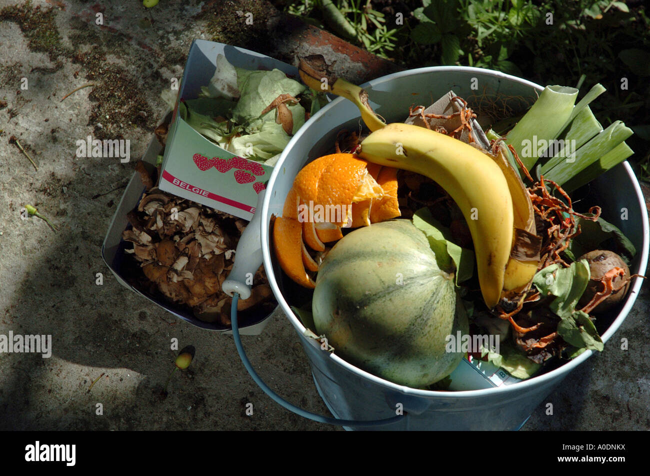 Fruit skins and vegetable peels top a brimming bucket of compost Stock ...