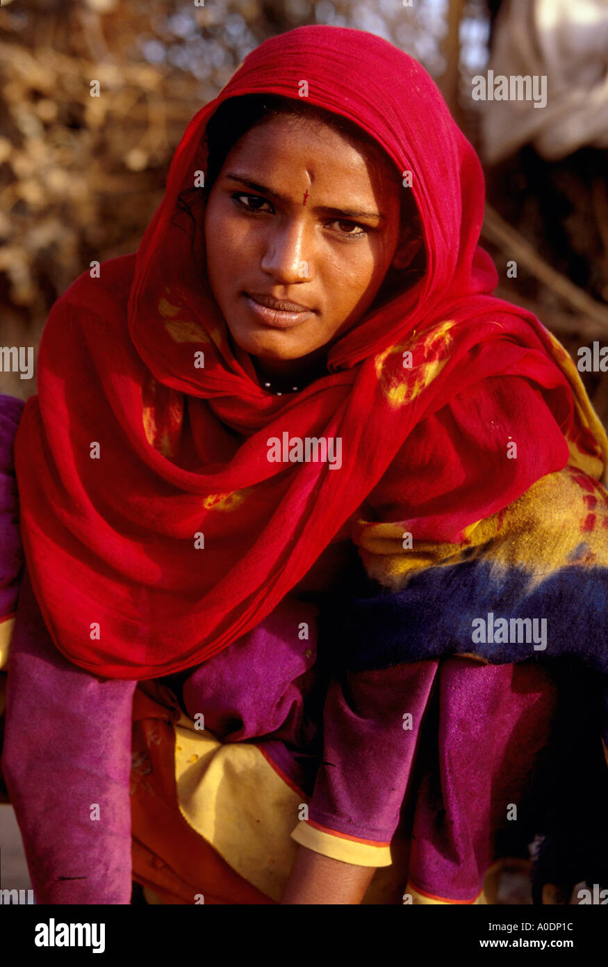 Kalbeliya Gypsy Traditional Dancers and Snake Charmers Indigenous ...