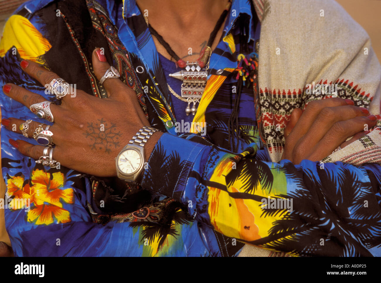 Kalbeliya Gypsy Traditional Dancers and Snake Charmers Indigenous ...