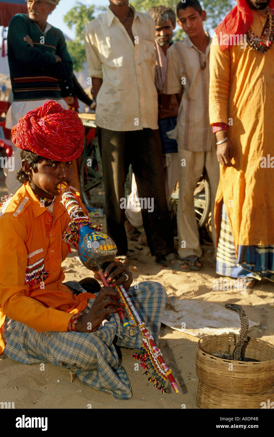 Kalbeliya Gypsy Traditional Dancers and Snake Charmers Indigenous ...