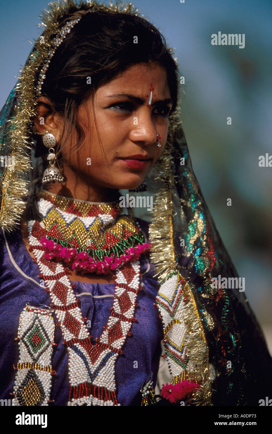 Young Kalbeliya Gypsy Dancer Nomadic Indigenous People Of The Rajasthan