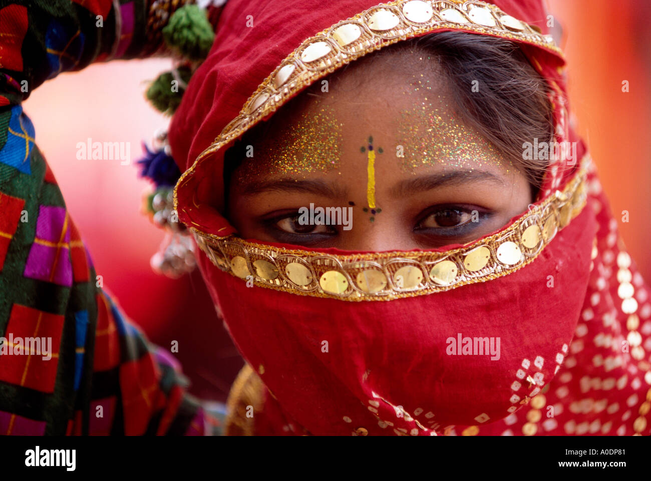 Young Kalbeliya Gypsy dancer Nomadic Indigenous People of the Rajasthan ...