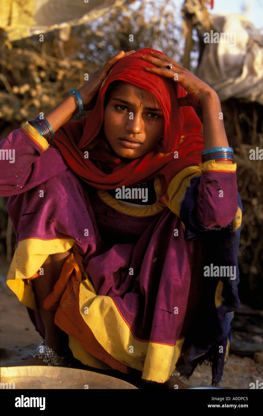 Kalbeliya Gypsy Traditional Dancers and Snake Charmers Indigenous ...