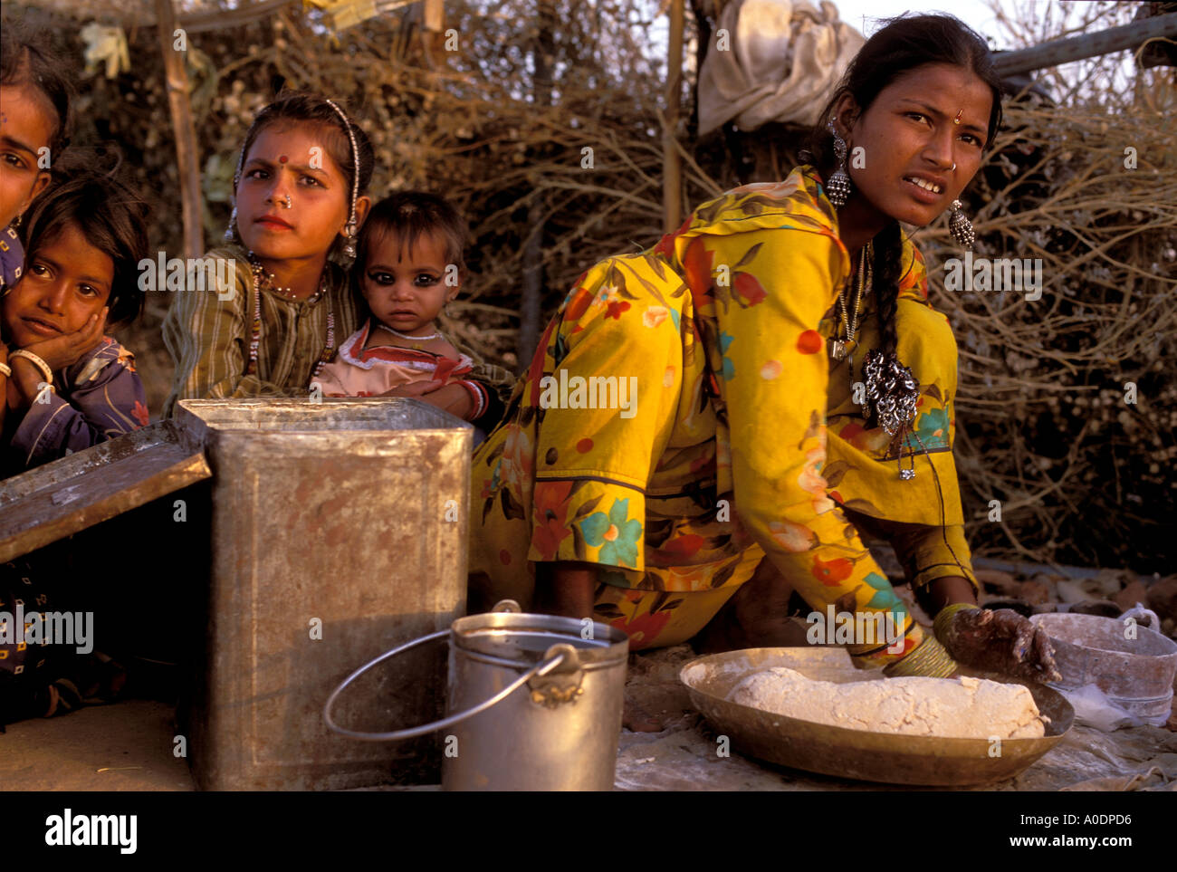 Kalbeliya Gypsy Traditional Dancers and Snake Charmers Indigenous ...
